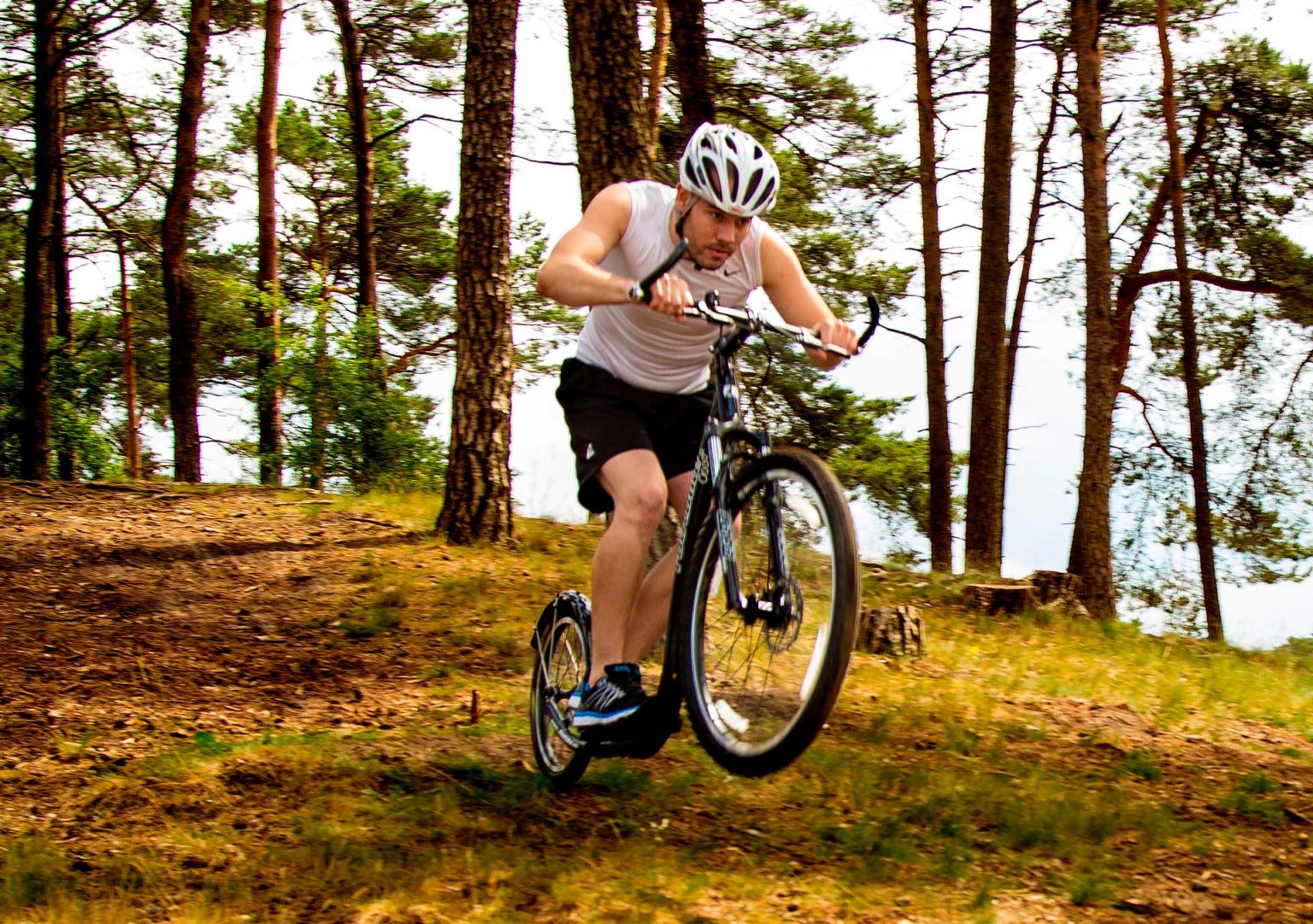 Step Events | Steps voor volwassenen | Gratis verzending